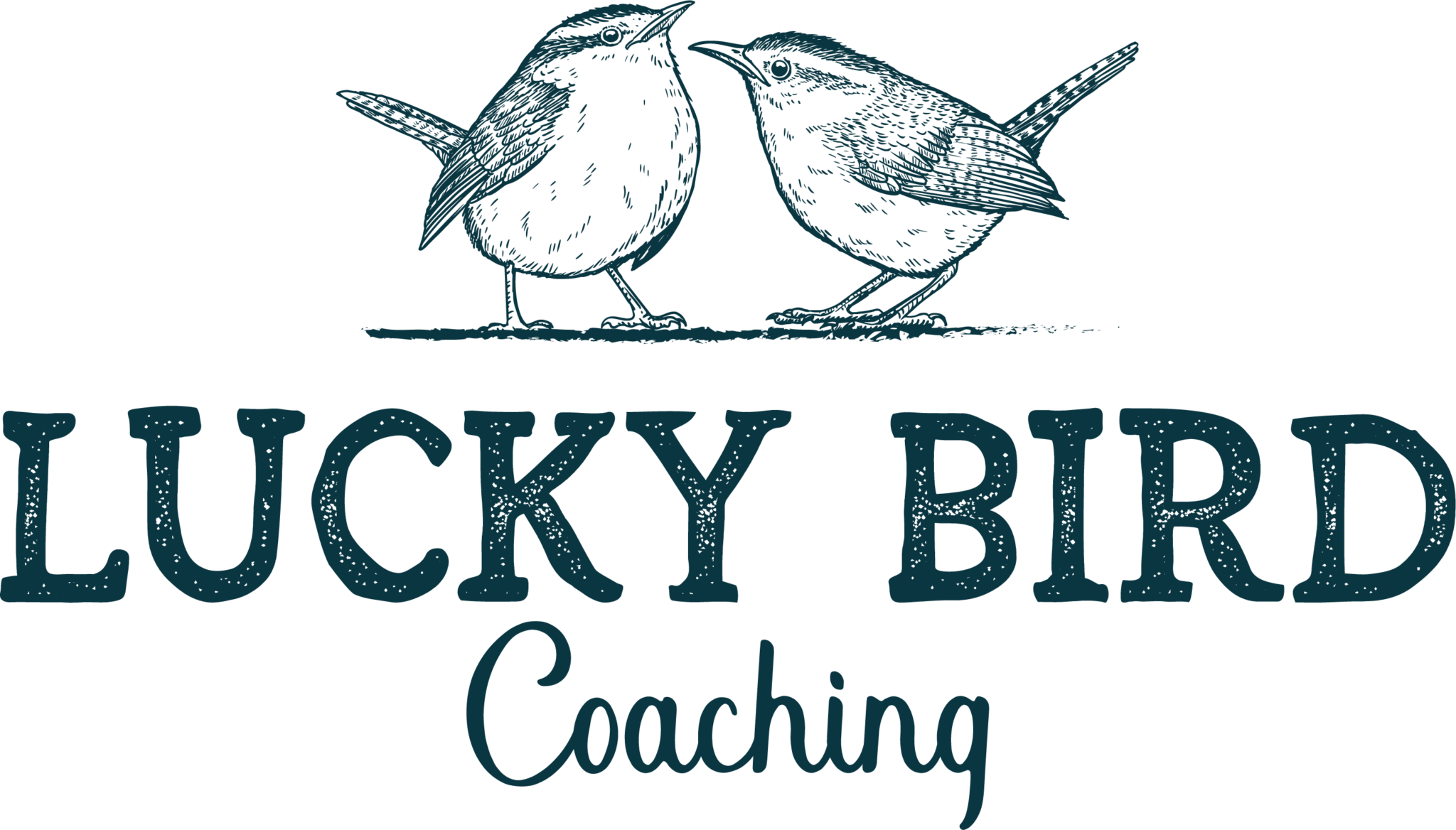 Lucky Bird Coaching - Elizabeth Heise